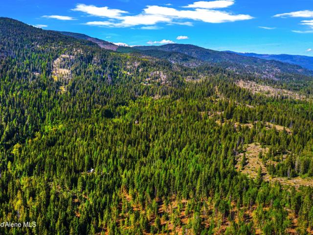 Nka Christmas Ln, Naples, ID 83847 | MLS #26 485 | Compass