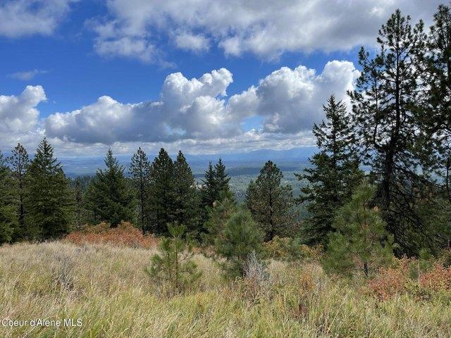 Nka Glad Ln, Spirit Lake, ID 83869
