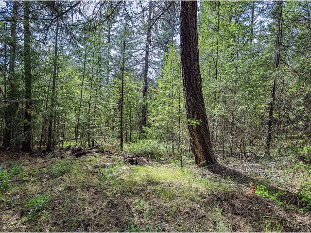 NKA Forest Glen DR # #37/38
