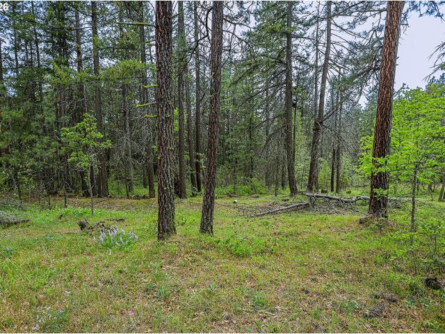 NKA Forest Glen DR # #37