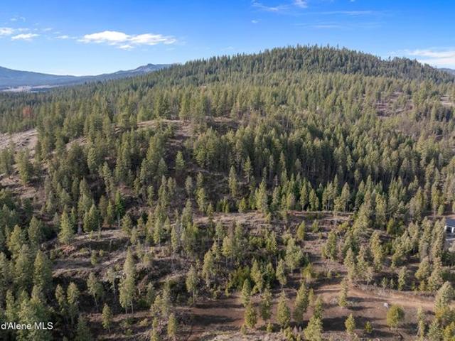 Nka Healing Dr Lots 3 & 2, Blanchard, ID 83804