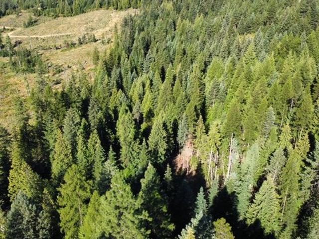 Nka Hells Gulch, Saint Maries, ID 83861