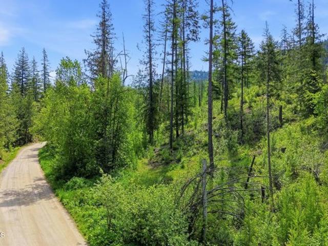 Nka Jewel Lake Rd, Sagle, ID 83860