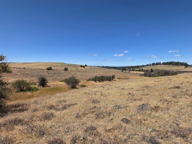 NKA Olson Rd # 3