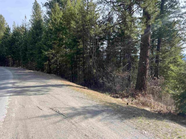 Nka Orin Rice Rd, Wellpinit, WA 99040 | MLS #202614