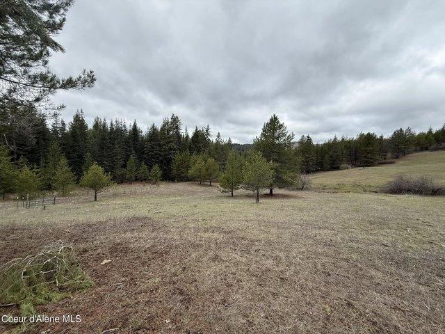 Nka Owl Creek Ln, Saint Maries, ID 83861