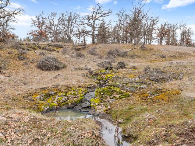 NKA Little Oak LN # 1
