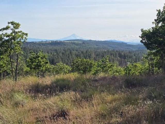 Nka Meachum Rd Unit 2, Goldendale, WA 98620
