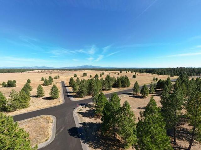 Nka N Tudor Rd, Deer Park, WA 99006