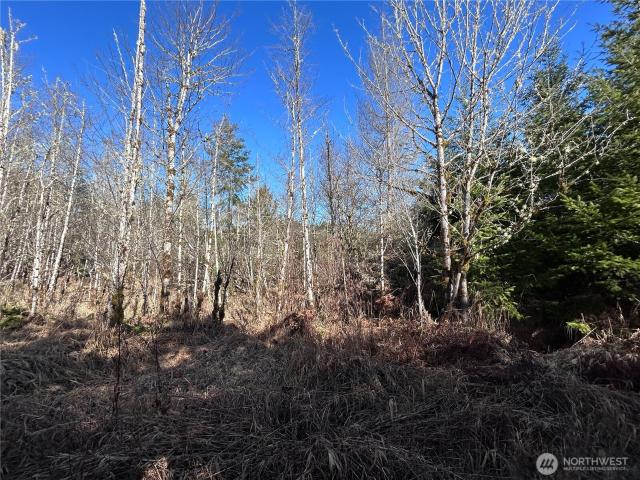 Nka Salmon Creek Rd, Toledo, WA 98591 | MLS #2356