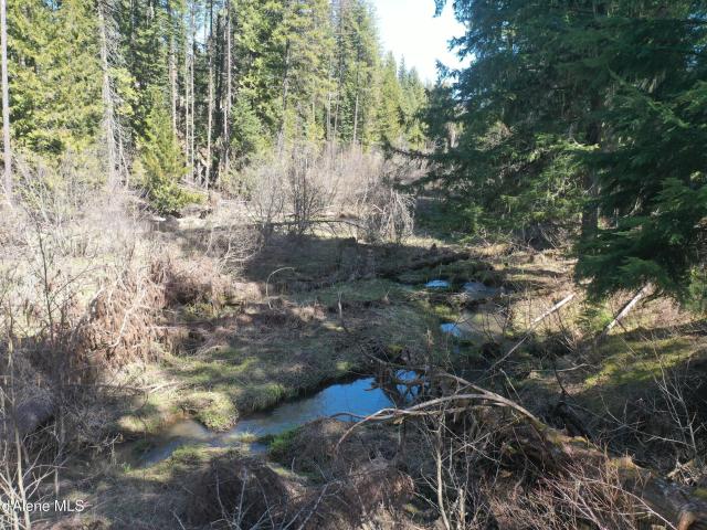 Nka Sanders Rd, St. Maries, ID 83861 | MLS #26 1523 | Compass