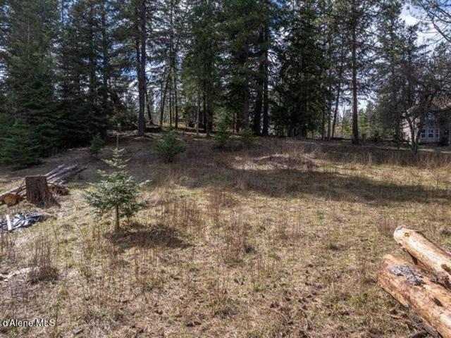 Nka Ponderosa Rd, Coeur d'Alene, ID 83814