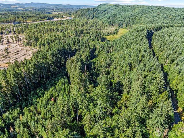 Nka Tower Rd, Toutle, WA 98649 | MLS #2426 | Compass