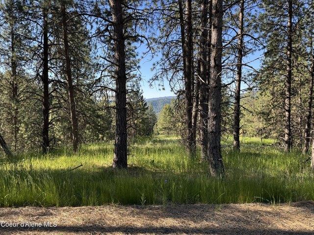 Nkalot 2 Baby Cougar Ln, Coeur d'Alene, ID 83815