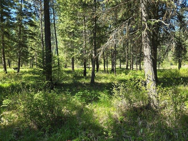 NH Fairview Dr, Saint Regis, MT 59866
