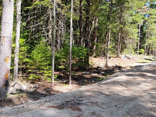 Nh Route 4A Lot 2, Grafton, NH 03240