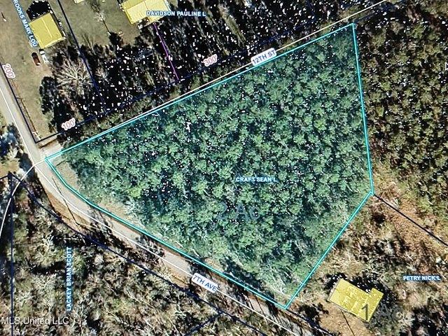 Nhn 7th Ave, Pearlington, MS 39572