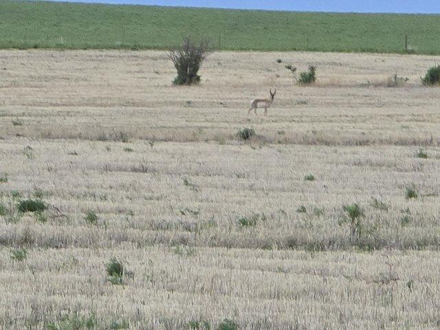 Nhn 5th Nw, Choteau, MT 59422