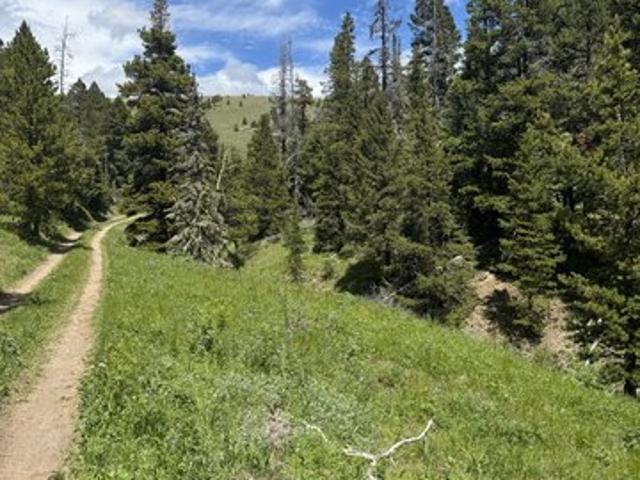 Nhn Codette Creek Rd, Lincoln, MT 59639