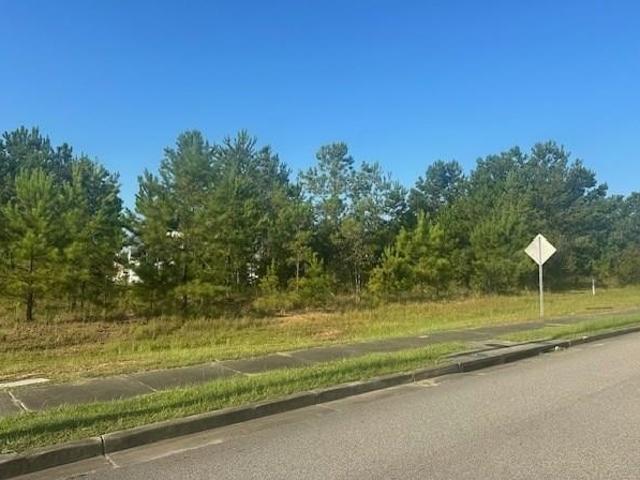 Nhn Cooper Rd, Picayune, MS 39466