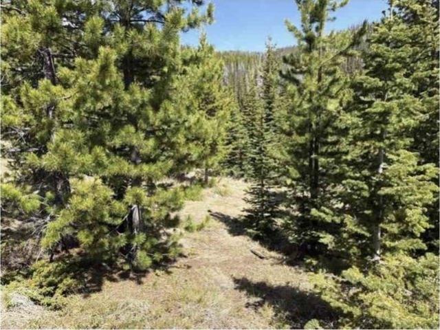 Nhn Corral Gulch Rd, Clancy, MT 59634