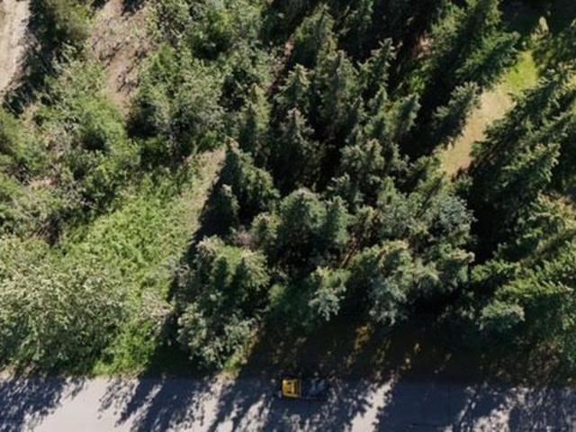 Nhn Chena St Lot 16, Delta Junction, AK 99737