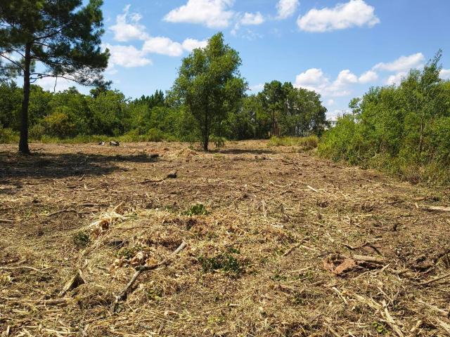 Nhn Bayou View Drive