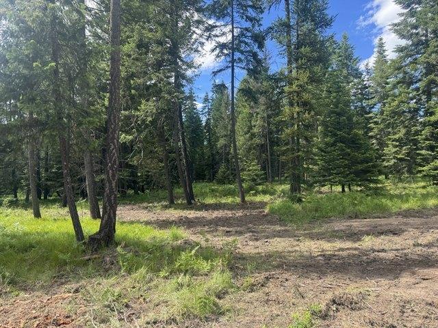 Nhn Big Fir Dr, Thompson Falls, MT 59873
