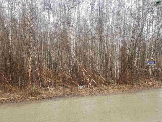 Nhn Birch Knoll Rd Lot 4, Fairbanks, AK 99709