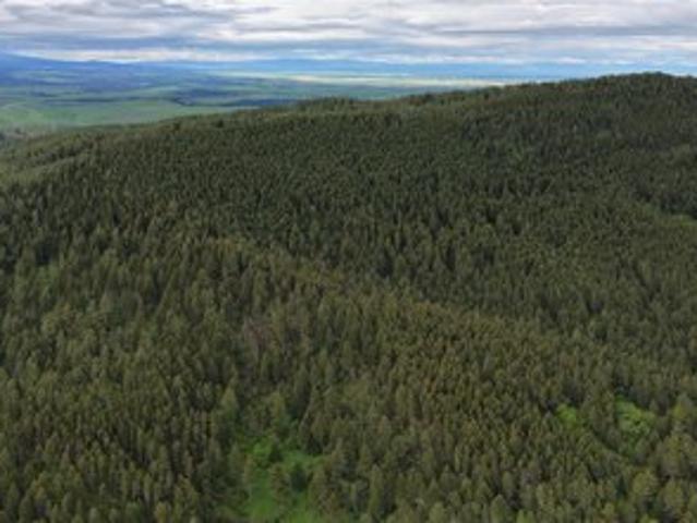 Nhn Gilt Edge Stage Rd, Lewistown, MT 59457