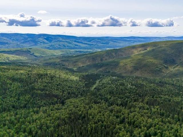 Nhn Grand Teton Rd Lot 14, Fairbanks, AK 99709