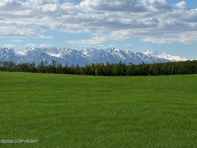 Greensmith Rd, Delta Junction, AK 99737