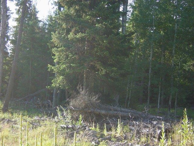 Nhn Davis Creek Rd Lot 10, Libby, MT 59923