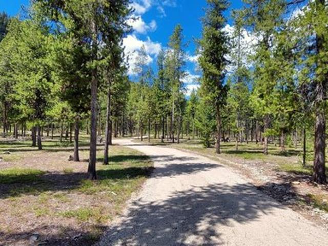 Nhn Deer Walk Way Parcel C, Darby, MT 59829