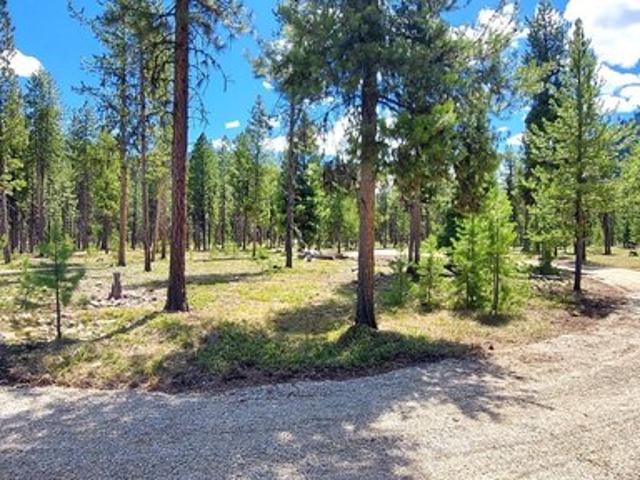 Nhn Deer Walk Way Parcel B, Darby, MT 59829