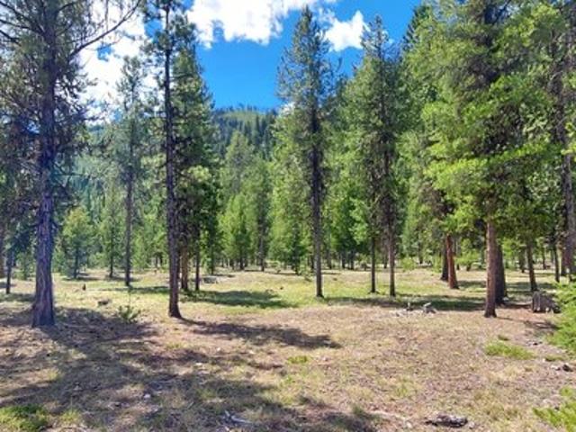 Nhn Deer Walk Way Parcel D, Darby, MT 59829
