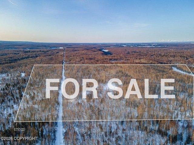 L A5 E Ridge Ln, Willow, AK 99688