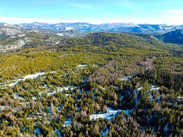 Nhn Elk Creek Mcginnis Meadows Section Rd # 11, Libby, MT 59923