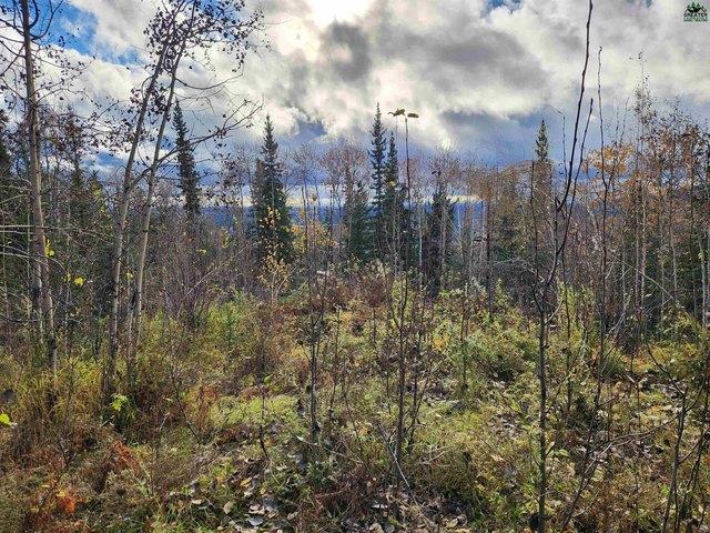 Nhn Ellesmere Dr Lot 10, Fairbanks, AK 99709