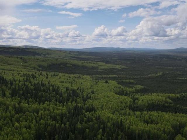 Nhn Ester Dr Lot TL1308, Fairbanks, AK 99709