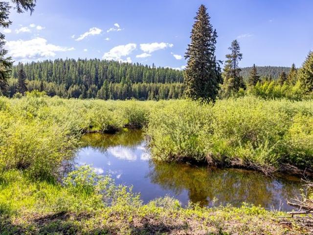 Nhn Fortine Creek Rd, Trego, MT 59934