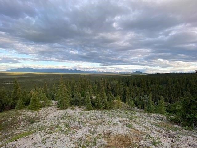 Nhn Ft Greely Ridge Rd Lots 21 & 22 and Nese, Delta Junction, AK 99737