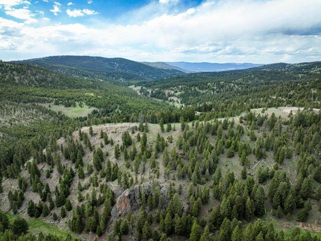 Nhn Hoover Creek Rd, Helmville, MT 59843