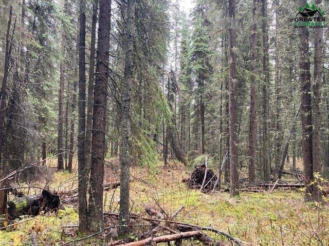 Nhn Harmonica Dr Lot 2, Fairbanks, AK 99709