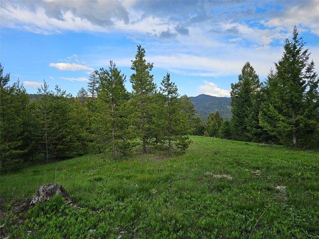 Nhn Hematite Rd, Gold Creek, MT 59733