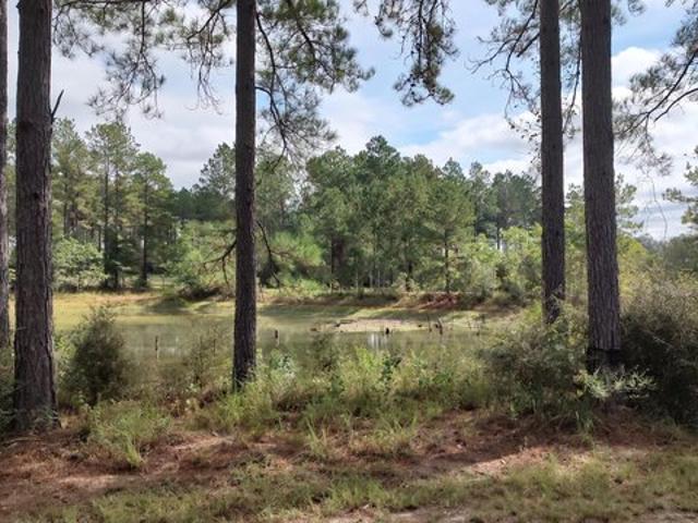 Nhn Highway 13, Lumberton, MS 39455