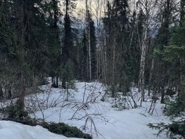 Nhn Himilaya Rd Lot Tracte, Fairbanks, AK 99712
