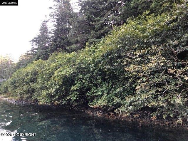 Nhn Legal Address Only Lot 58, Elfin Cove, AK 99825