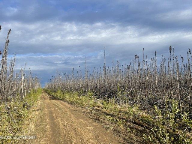 Nhn Lightning Ave, Clear, AK 99743