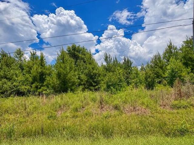 Nhn Morgan Seal Rd, Picayune, MS 39466